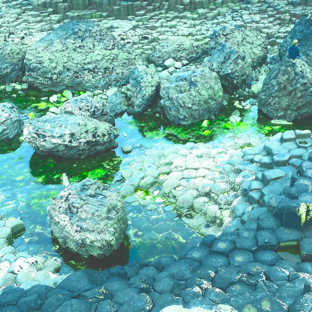 Ecoversion | Cheesy Hfj