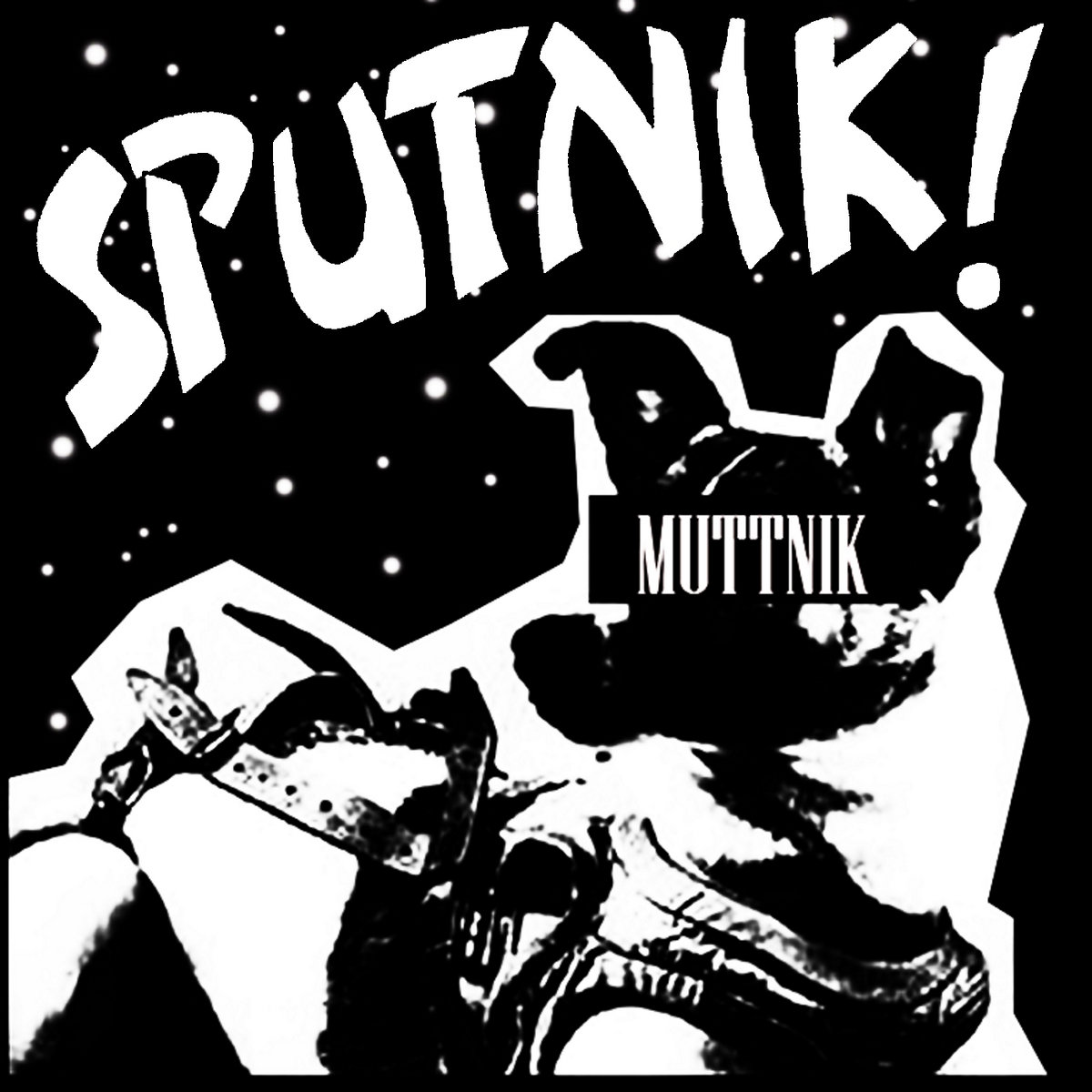 Muttnik | Sputnik!