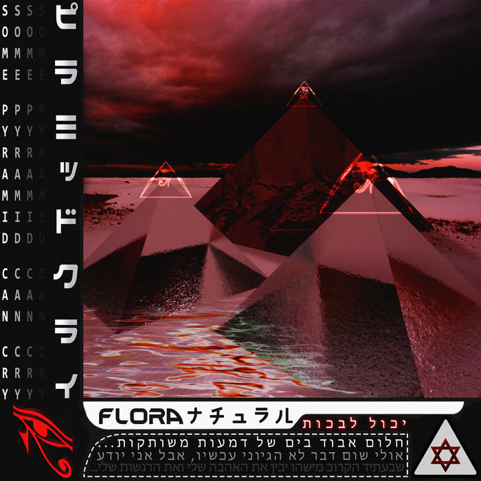 Some Pyramid Can Cry | FLORAナチュラル | DreamSkyプラザ