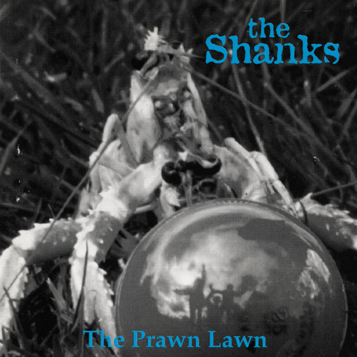 The Prawn Lawn | The Shanks | Acoustianity