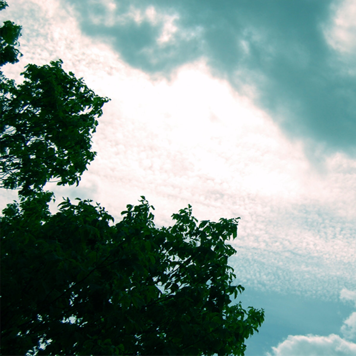 Les Paradis Artificiels | Les Paradis Artificiels