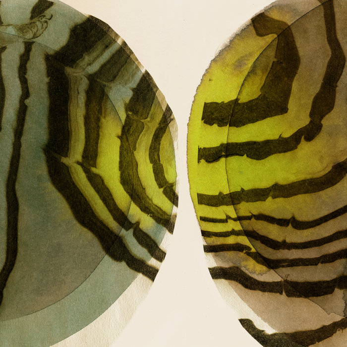 LUMBERER II | LUMBERER