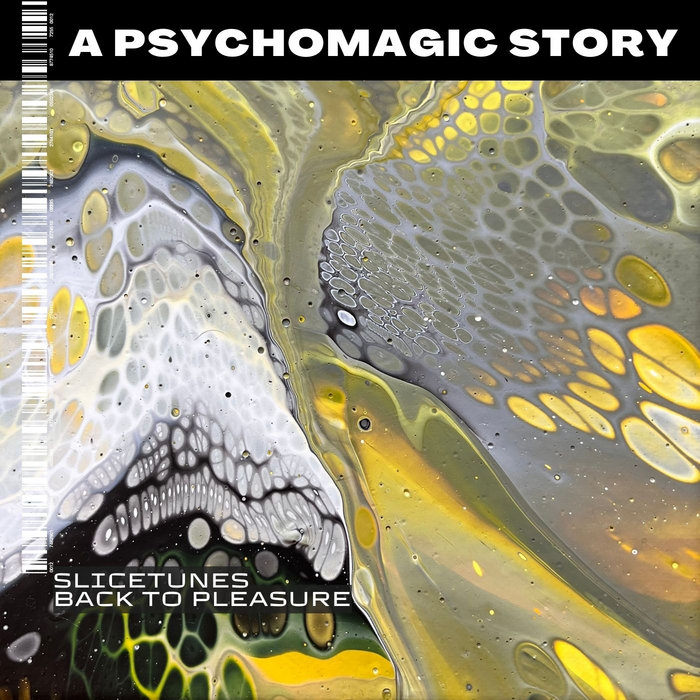 Slicetunes - Back To Pleasure [APS12] | Diffuse Reality Records