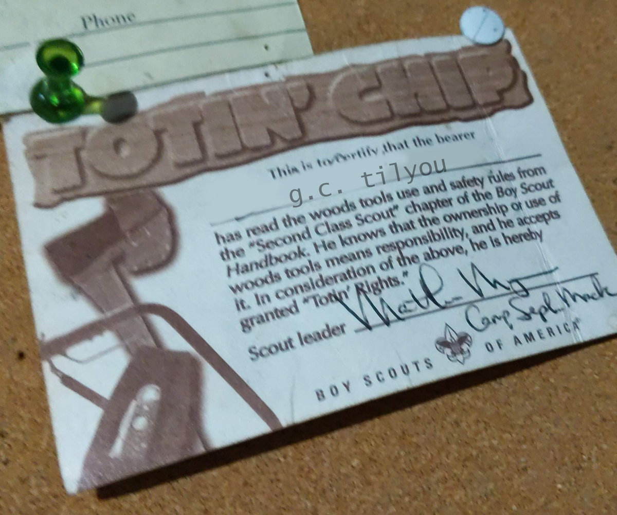 Totin' Chip | G.C. Tilyou