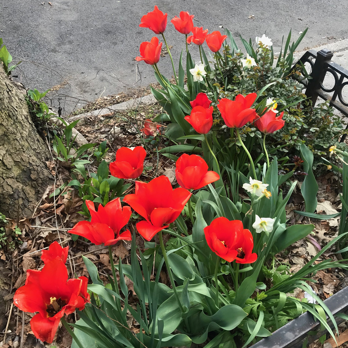 Selected Ambient Works | Barraco Barner