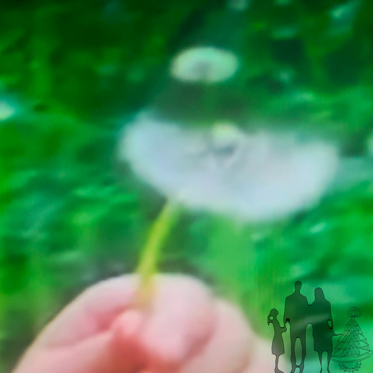 Structures with wishes | heartsoft