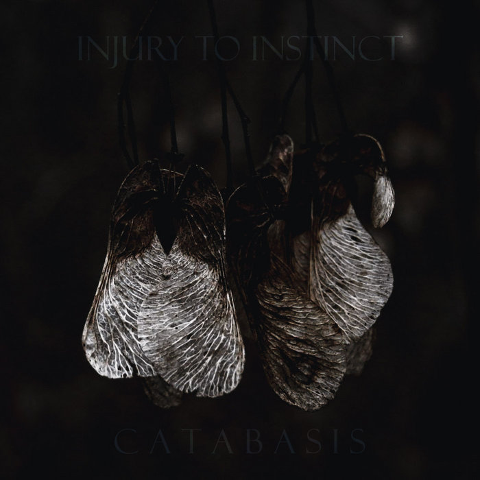 Catabasis | Injury to Instinct