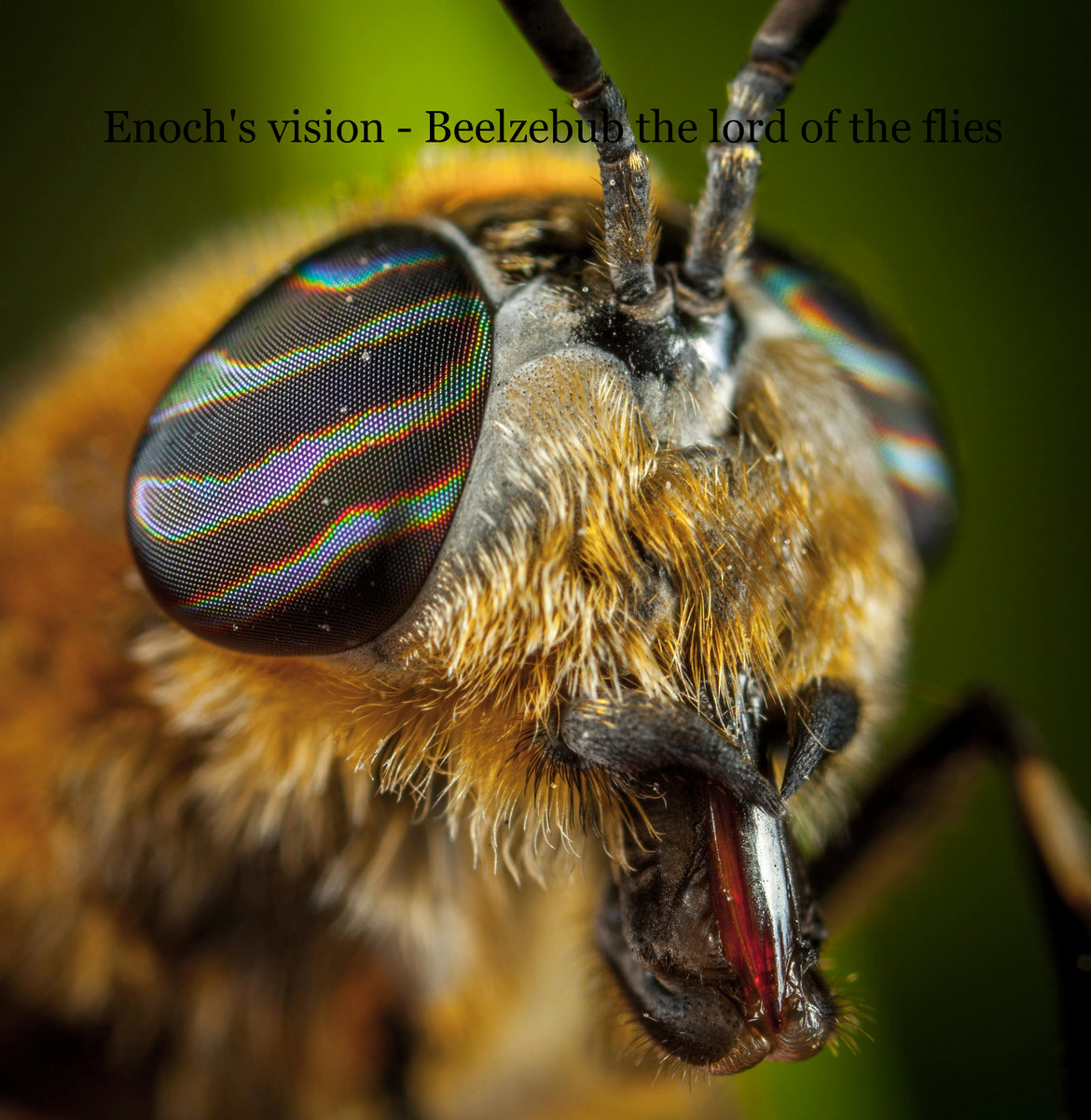 (670) Enoch's vision - Beelzebub the lord of the flies | Enoch's vision ...