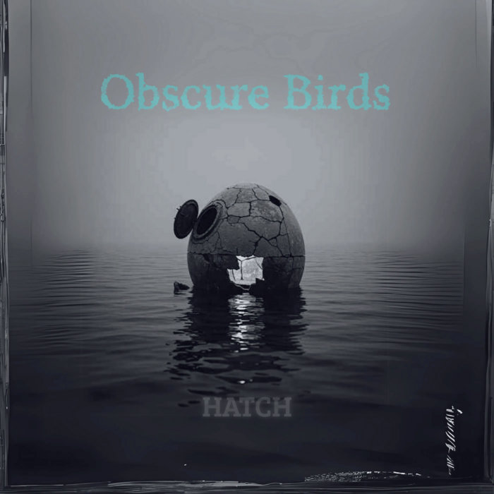 Hatch | Obscure Birds
