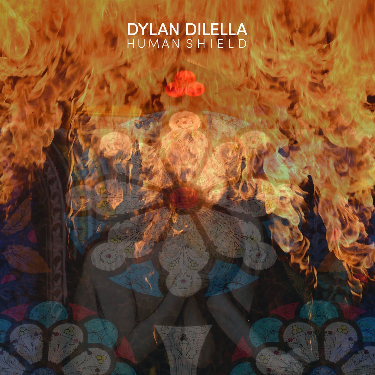 Human Shield | Dylan DiLella