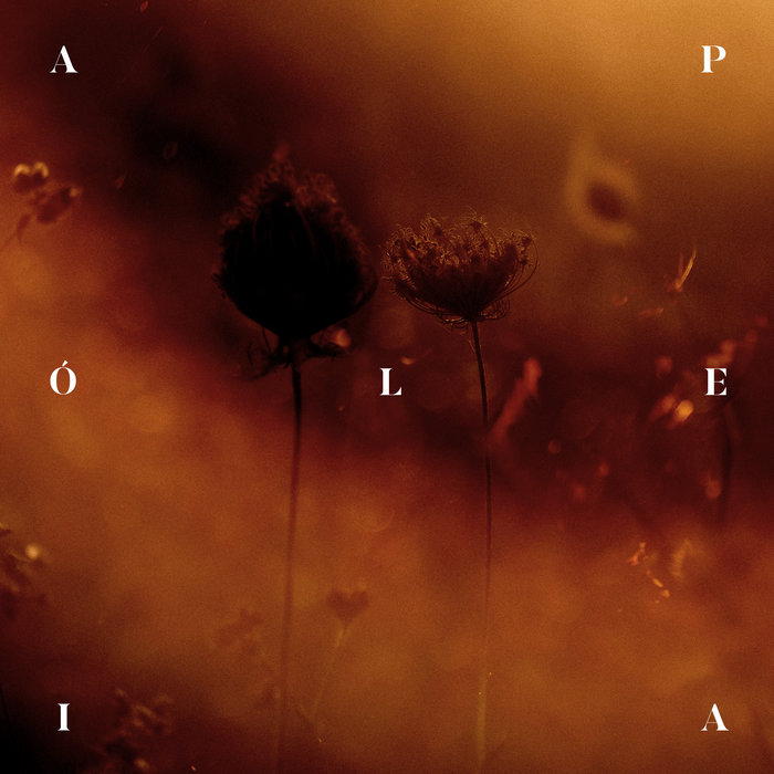 APÓLEIA | Nicola Olla