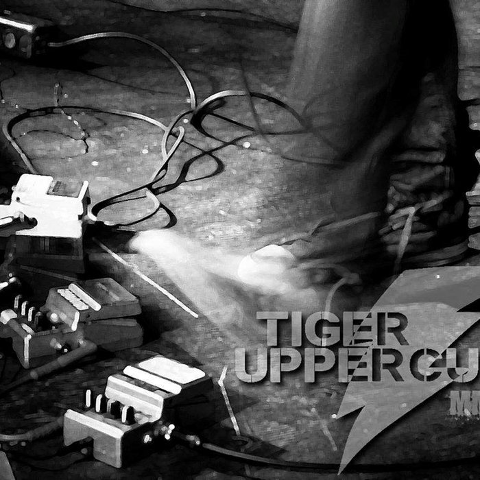MMXIV | Tiger Uppercut