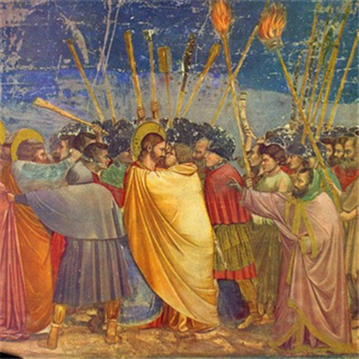 The Codex | elizabeth Veldon