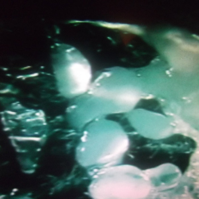 Born out of Water | molquid | Molquid