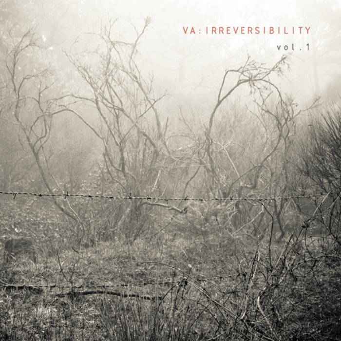 IRREVERSIBILITY vol.1 | Various Artists | Echomania
