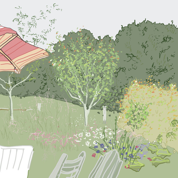 Tom Alone | Letraset