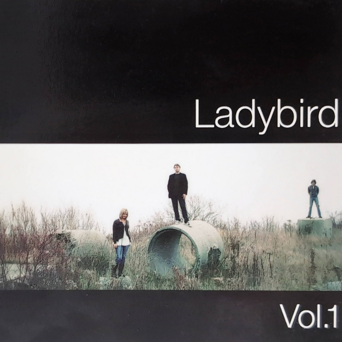 Ladybird Vol 1 | Stella Panacci