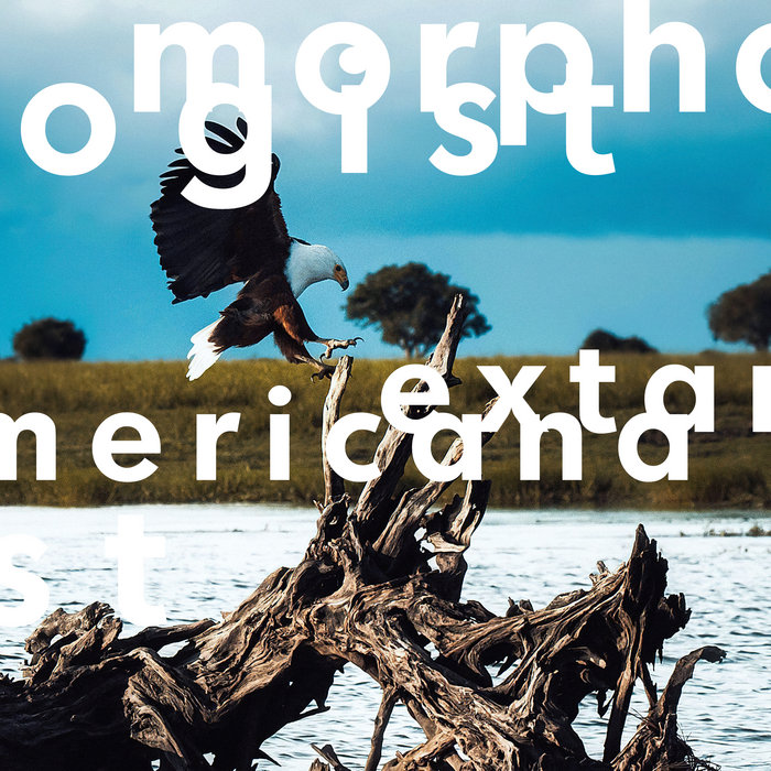 Extant Americana | Morphologist | College Hill