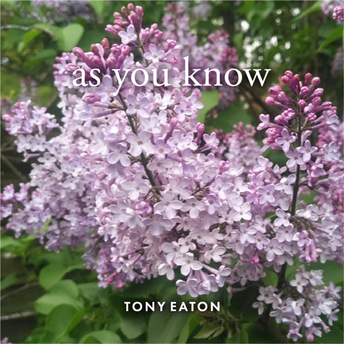 As You Know | tony eaton
