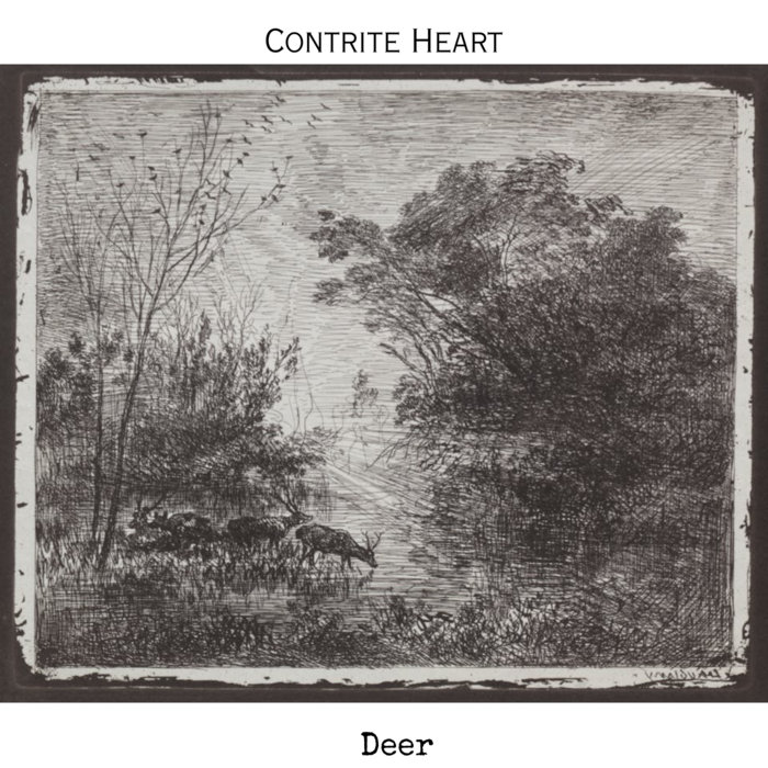 Deer (physical on NotF) | Contrite Heart | MILITANT LITURGY