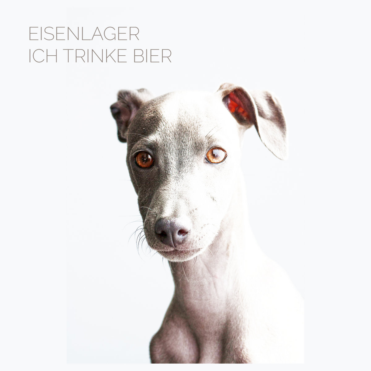 ICH TRINKE BIER | EISENLAGER