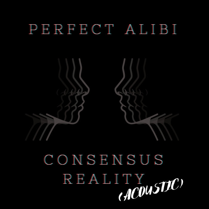 Consensus Reality (Acoustic Rendition) | Perfect Alibi
