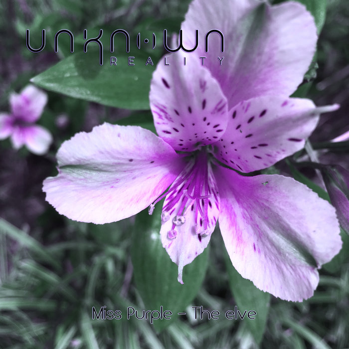 Miss Purple - The elve | Unknown Reality