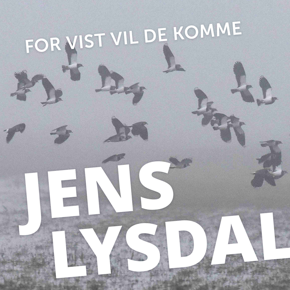 For vist vil de komme | Lysdal
