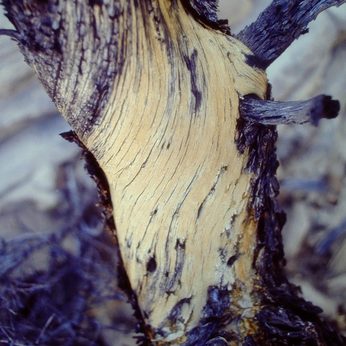 Under The Shining Moon | Shane Beck & moonder | moonder