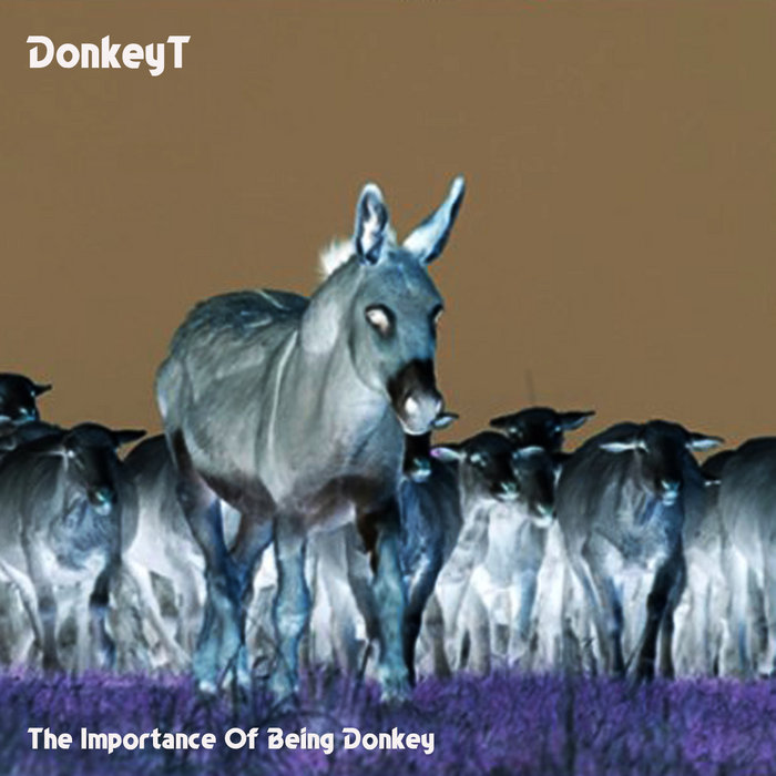 The Importance Of Being Donkey | donkeyt