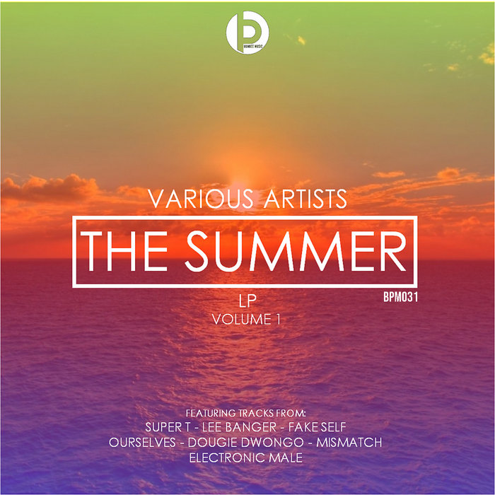 The Summer: Volume 1 LP | Various Artists | B Phunkee Music
