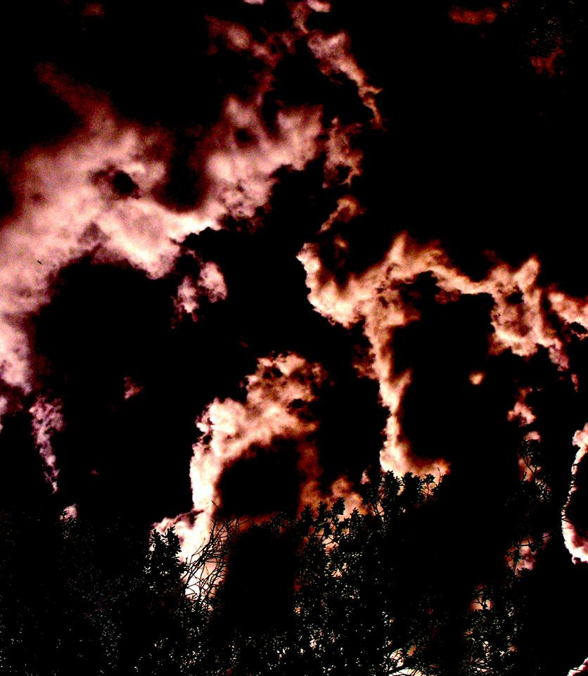 Shade Of Mountain | Mike Braudrick