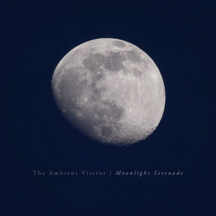 Moonlight Serenade | The Ambient Visitor