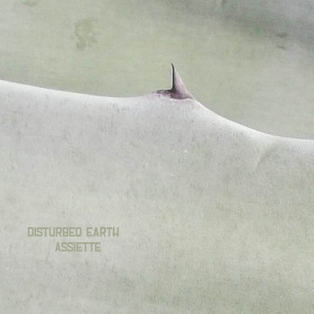 Music | Disturbed Earth