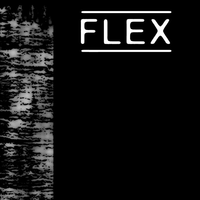 FLEX (1997) | FLEX | fragment.