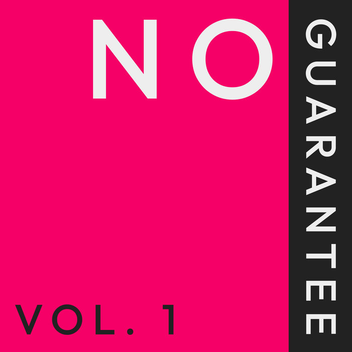 No Guarantee Of Quality: Vol. 1 | Daniel P H Fox
