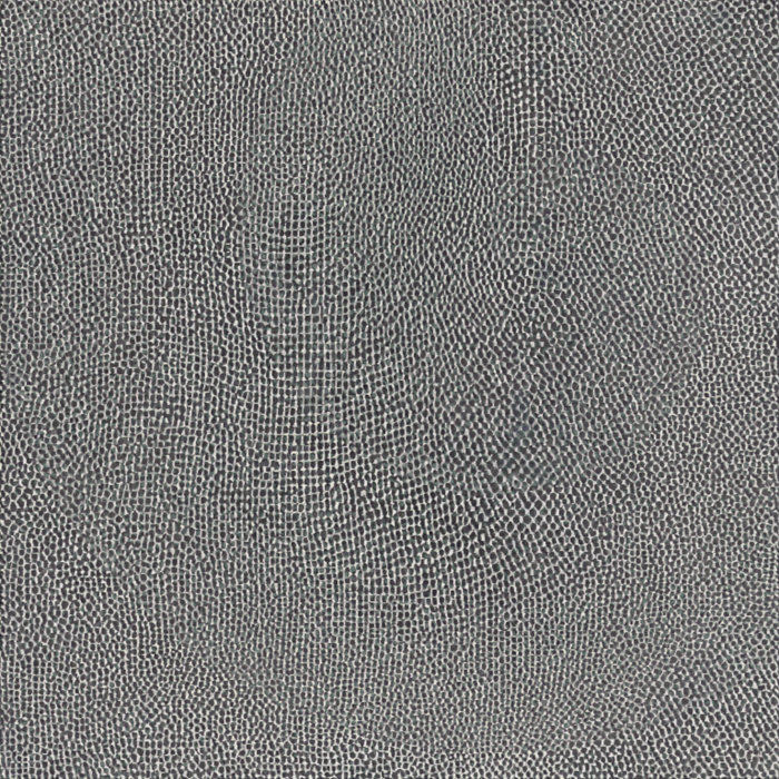 Four Dimensional Moiré Patterns | Samuel Burt