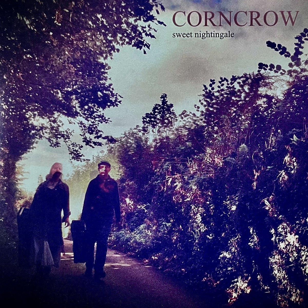 Sweet Nightingale | Corncrow | Steve Hunt