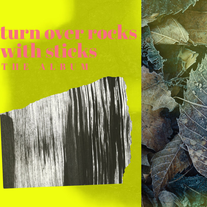 turn over rocks with sticks | Wenlock Moss Animal