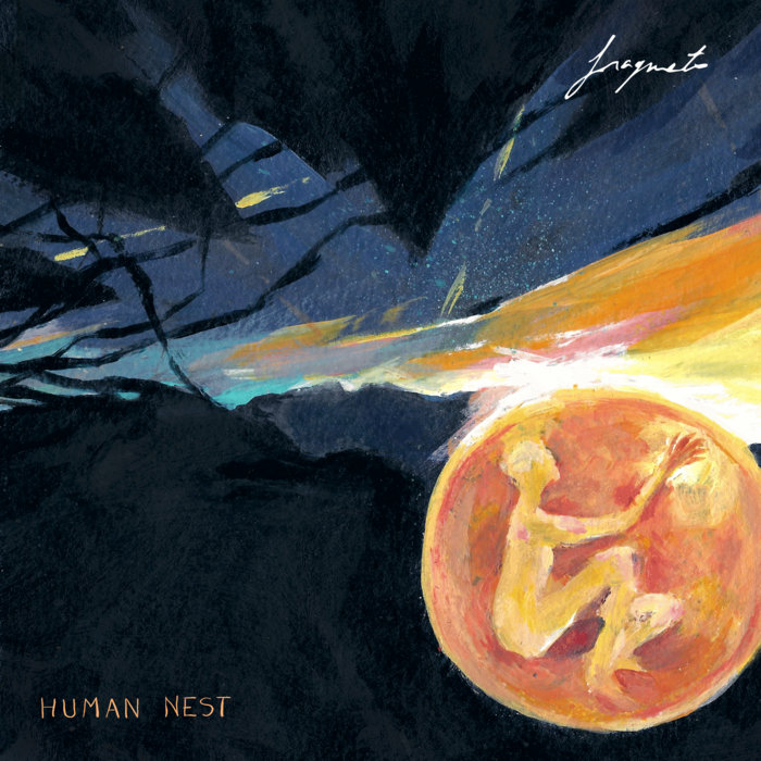 Human Nest | Fragments