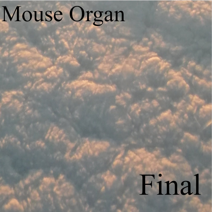 Final | Mouse organ