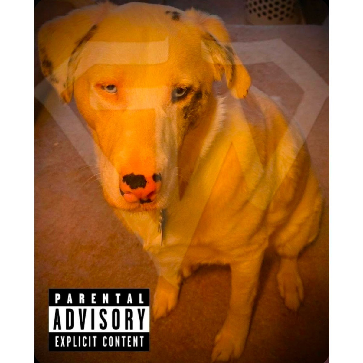 Ghost Dogg 3 (Infinity Stones) [Full Album] | GEKIBOT