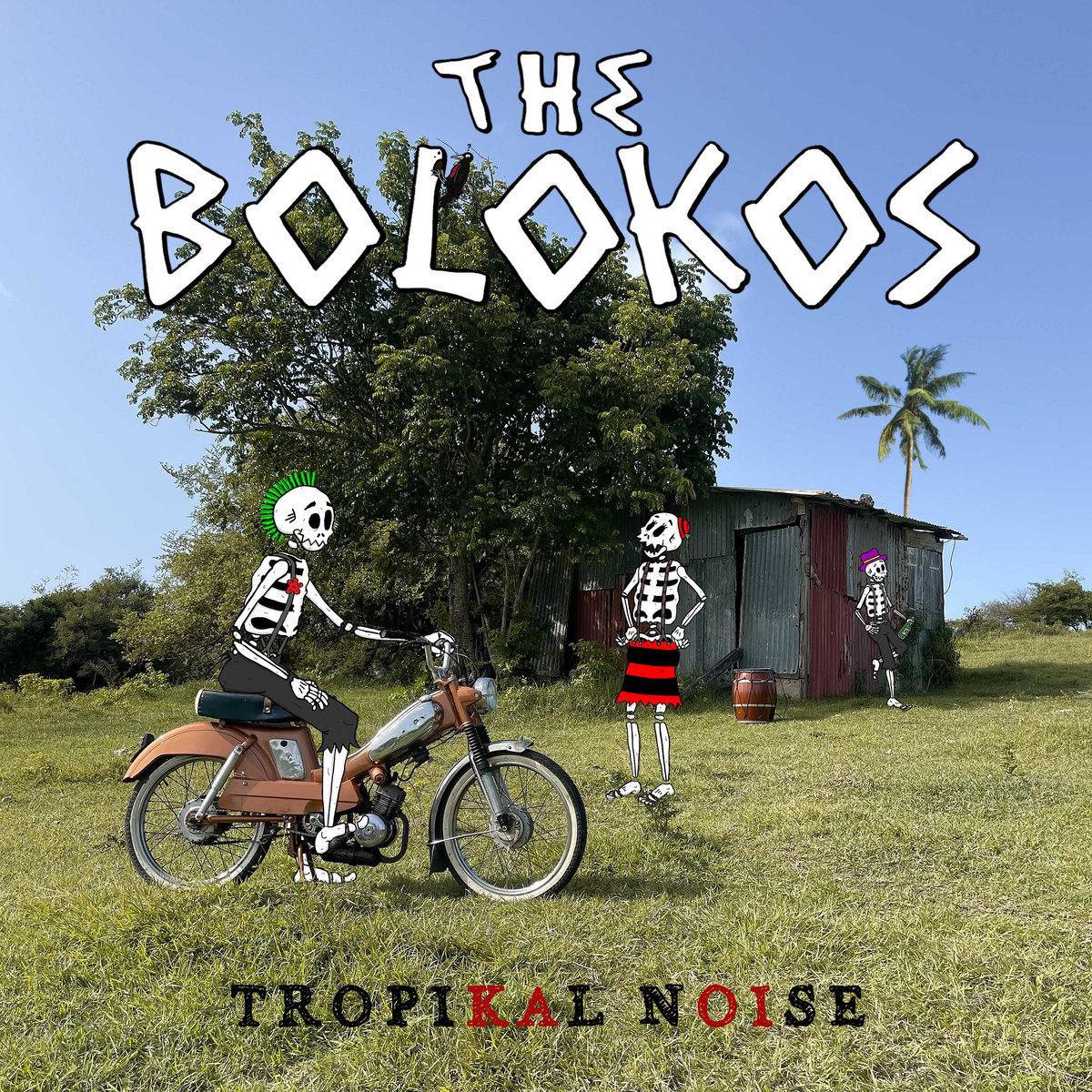 TROPIKAL NOISE | The Bolokos | Bokit Production
