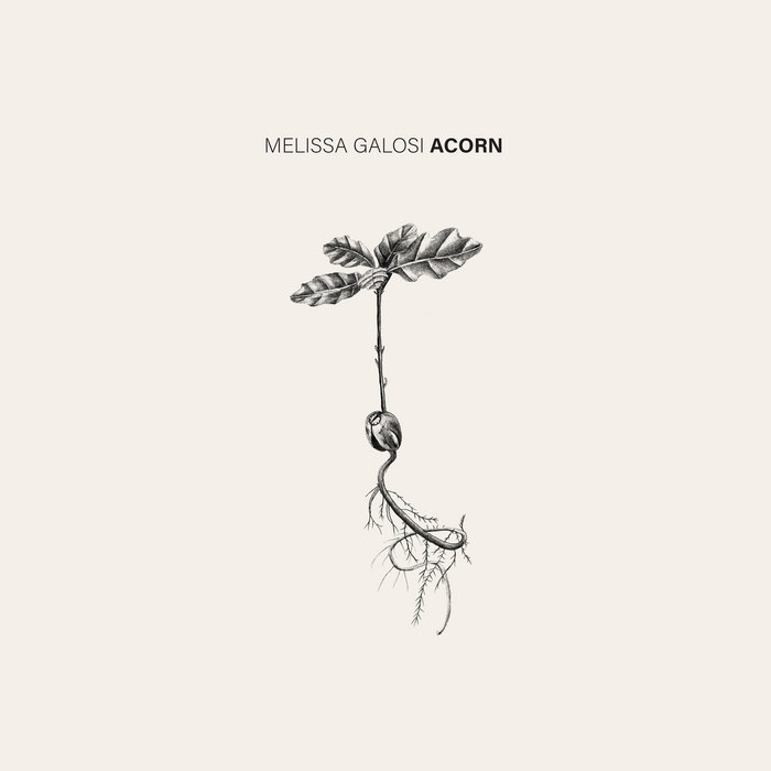 Acorn | Melissa Galosi | Moderna Records