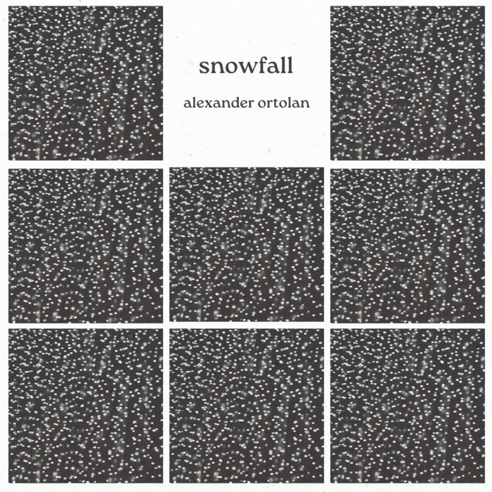 Snowfall | Alexander Ortolan