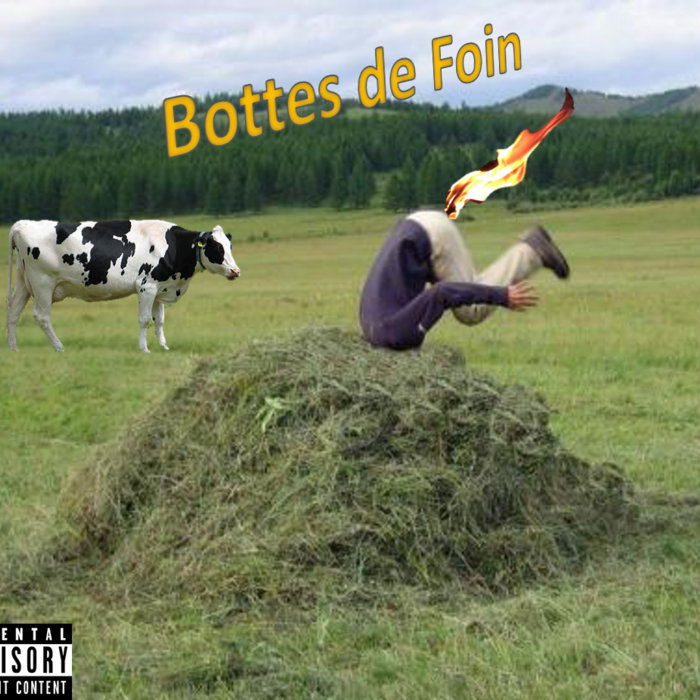 Bottes de Foin | Les 1001 Séries de Philippe & Michel