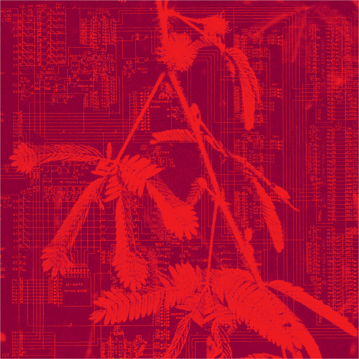 Incorporeal | Hidden Horse | Holuzam