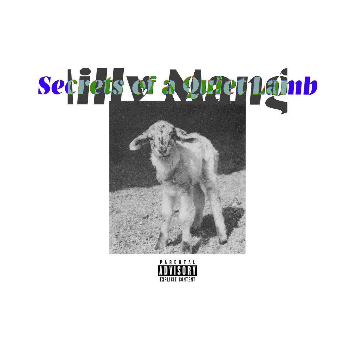 Secrets of a Quiet Lamb | Milly Mango