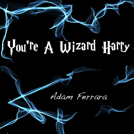 You're A Wizard, Harry | Adam Ferrara