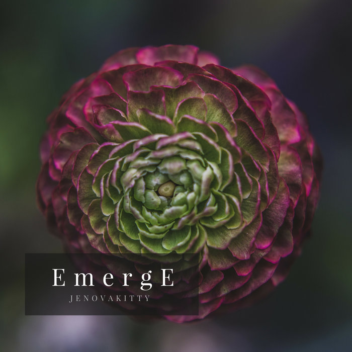 EmergE | jenovakitty